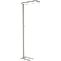 LED-Stehlampe Maul Mauljura, 62 W, 9200 lm, 4000 K, direktes/indirektes Licht, dimmbar, H 1965 mm, Aluminium, silber