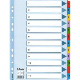 ESSELTE Karton-Register Mylar, Zahlen 1-12