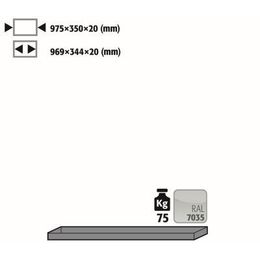 Fachboden Standard f&uuml;r ASECOS Sicherheitsschr&auml;nke der UB90 Serie, Stahlblech, lichtgrau, B 975 x T 350 x H 20 mm, bis 30 kg