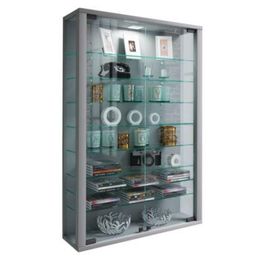 Wandvitrine Vitrosa Mini, mit LED-Beleuchtung, 8 Einlegeb&ouml;den, 2 Fl&uuml;gelt&uuml;ren, B 590 x T 180 x H 910 mm, Glas & Holz, silber