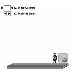 Fachboden Standard f&uuml;r ASECOS Druckgasflaschenschr&auml;nke, Stahlblech, lichtgrau, B 1239 x T 250 x H 25 mm, bis 75 kg