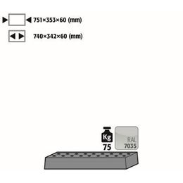 Lochblecheinsatz Standard f&uuml;r ASECOS Sicherheitsschr&auml;nke der K90 und UB90 Serie, Stahlblech, lichtgrau, B 751 x T 353 x H 60 mm, bis 75 kg