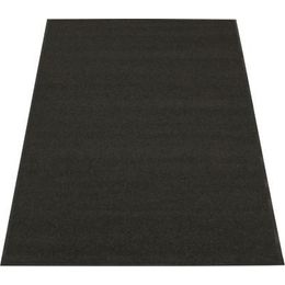 Schmutzfangmatte EAZYCARE, 1200 x 1800 mm, schwarz