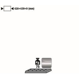 Lochblecheinsatz Standard f&uuml;r ASECOS Sicherheitsschr&auml;nke der UB90 und UB30 Serie, Edelstahl 1.4016, B 417 x T 436 x H 9 mm, bis 75 kg