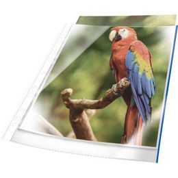 Durable Prospekth&uuml;llen, DIN A4, glasklar, dokumentenecht, verst&auml;rkte Universallochung, mit blauen Rand, 10 St&uuml;ck
