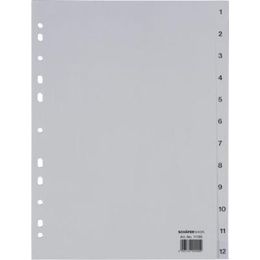 Sch&auml;fer Shop Sch&auml;fer Shop Select Ordnerregister, f&uuml;r DIN A4, numerisch, 12 F&auml;cher, Polypropylen, grau