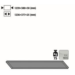 Fachboden Standard f&uuml;r ASECOS Druckgasflaschenschr&auml;nke, Stahlblech, lichtgrau, B 1239 x T 380 x H 30 mm, bis 75 kg