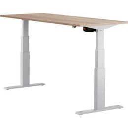 Sch&auml;fer Shop Sch&auml;fer Shop Select Schreibtisch ERGO-T, elektrisch h&ouml;henverstellbar, Rechteck, T-Fu&szlig;, B 1600 x T 800 x H 640-1300 mm, Eiche/wei&szlig;aluminium