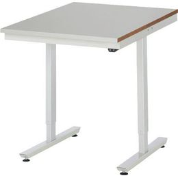 Rau Arbeitstisch Adlatus, elektrisch h&ouml;henverstellbar, 25 mm MDF-Platte, Edelstahlbelag, bis 150 kg, B 750 x T 800 x H 720-1120 mm, silber/lichtgRau