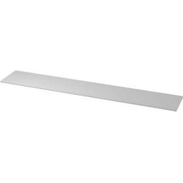 Abdeckplatte TOPAS LINE, f&uuml;r Regale und Schr&auml;nke, B 2405 mm, lichtgrau