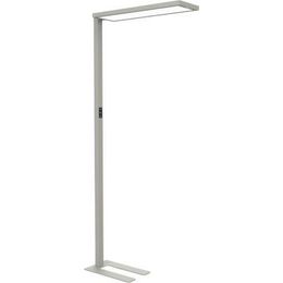 LED-Stehlampe Maul Maulsenja, 87 W, 15150 lm, 2700-5700 K, direktes/indirektes Licht, dimmbar, Bewegungs-/Lichtsensor,H 1960 mm, Aluminium, silber