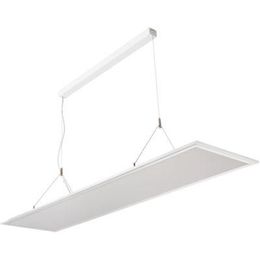 LED-Pendelleuchte FRISCH-Licht, 50-65 W, 6400-8200 lm, 4000 K, h&ouml;henverstellbar, B 1245 x T 300 mm, wei&szlig;