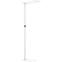 LED-Stehleuchte Dotlux OFFICEbutler, Leistung 55 W, 5500 lm, 4000 K, dimmbar, direkt/indirekt leuchtend, signalwei&szlig;