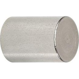 Neodym-Stabgreifmagnet Maul, Haftkraft 19 kg, 2 St&uuml;ck, &Oslash; 25 x H 35 mm, Stahlgeh&auml;use, hellsilber