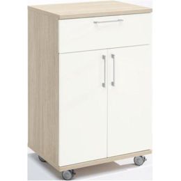 Mobiler Catering-Schrank mit Fl&uuml;gelt&uuml;ren, B 650 x T 480 x H 1000 mm, Artic Oak-Dekor/wei&szlig;