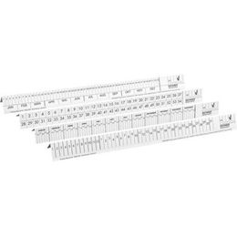 EICHNER Terminstreifen zur Planung, 100 St&uuml;ck