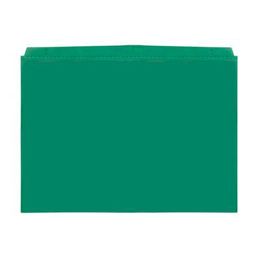 Orgatex Sichttaschen, A4 quer, gr&uuml;n, 10 St.