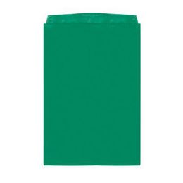 Orgatex Sichttaschen, A5 hoch, gr&uuml;n, 50 St.