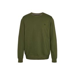 U.S. Polo Assn. Sweater ' Tais ' male Green size M