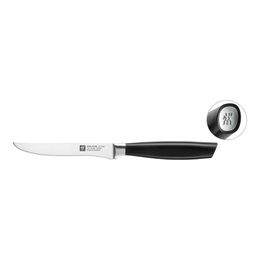 Zwilling All * Star Steakmesser 12 cm, Silber