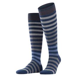 Burlington Kniestr&uuml;mpfe &raquo;Blackpool&laquo; gestreift, blickdicht, passend von Gr. 40-46 atmungsaktiv dark blue mel. 40-46 40-46 Herren-Kniestr&uuml;mpfe von...