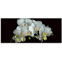 Artland Glasbild &raquo;Wei&szlig;e Orchidee auf schwarzem Hintergrund&laquo; Blumen 1 Stk. tlg. in verschiedenen Gr&ouml;&szlig;en Farbe Bild(er): wei&szlig;