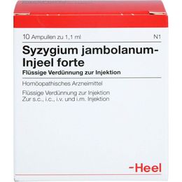 Heel Syzygium Jambolanum Injeel forte Ampullen 10 St