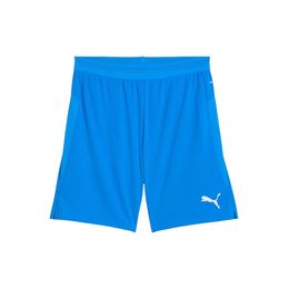 Puma Workout Pants male Blue size M