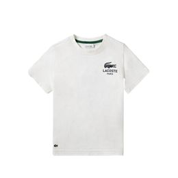 Lacoste T-Shirt 'GRAPHIC CORE' Jungen Gr&ouml;&szlig;e 152 beige
