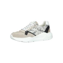 Brax Sneaker in Taupe | Gr.: 36
