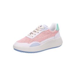 Palpa Sneaker in bunt | Gr.: 41