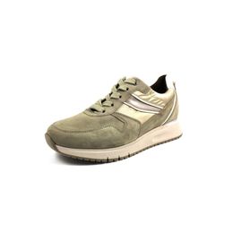Gabor Sneaker Low in grün | Gr.: 42