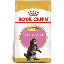 Royal Canin Maine Coon Katzen-Trockenfutter für Kätzchen 10kg