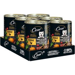 CESAR NATURAL GOODNESS mit Huhn Hunde-Nassfutter 100 % nat&uuml;rliche Zutaten 6x400g