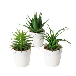 SONSTIGE Kunstpflanze ALOE VERA