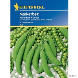 Kiepenkerl Markerbse 'Kelvedon Wonder' Portionssaatgut, f&uuml;r ca. 10 ldf. Meter Lieferform: Portionssaatgut