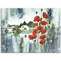 Leinwandbild Artland, B:80cm H:60cm T:1,8cm, rot, Leinwand, Wohnzimmer, Bilder, "Blühender Mohn", auf Keilrahmen gespannt