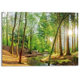 Deco-Panel Reinders, B:140cm H:100cm T:2cm, gr&uuml;n, Bilder, "Sonniger Wald", Hobbyraum - Gr&uuml;n - MDF - Wald - 140x100 cm
