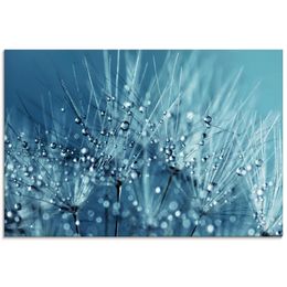 Glasbild Artland, B:60cm H:45cm, blau, Glas, Küche, Bilder, "Blaue glitzernde Pusteblume", in verschiedenen Größen