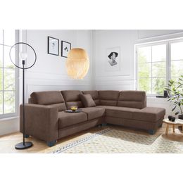 Ecksofa Trendmanufaktur, B:245cm H:85cm T:203cm, braun, Wohnzimmer, Sofas, "Chamber, zeitlos&modern, hoher Sitzkomfort, Breite 245cm, L-Form",