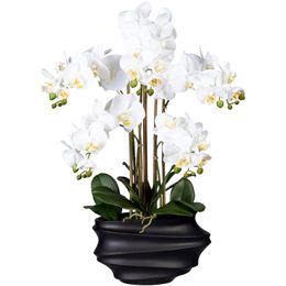 Kunstorchidee Creativ green, H:75cm, wei&szlig;, Kunststoff, Kunstpflanzen, "Phalaenopsis", in Design-Kunststoffvase