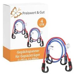 Pro Plus 4x Gep&auml;ckspanner f&uuml;r Gep&auml;cktr&auml;ger &ndash; 2x 80cm, 2x 100cm Spanngummi mit Haken Gummispanner f&uuml;r Fahrrad Anh&auml;nger Spanngummis