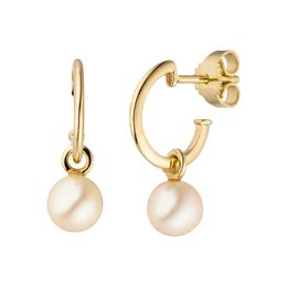 Jobo Damen Perlenohrringe "Ohrringe Goldohrringe 20 mm lang", Gelbgold 585 Perlengelbgold 585, Gelbgold 585, Perlen, Ohrringe