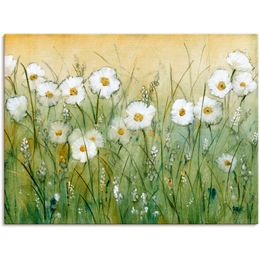 Wandbild Artland, B:80cm H:60cm, gr&uuml;n, Wohnzimmer, Bilder, "G&auml;nsebl&uuml;mchenfr&uuml;hling II", als Alubild, Leinwandbild, Poster in verschied. Gr&ouml;&szlig;en