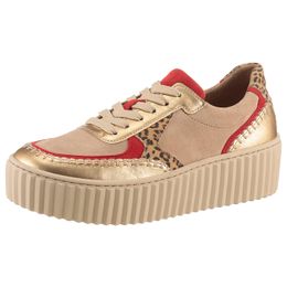 Gabor Damen Plateausneaker, Gr. 37beige, goldfarben kombiniert, Nappaleder, Ziegenveloursleder, Schuhe, Freizeitschuh, Halbschuh, Schn&uuml;rschuh mit