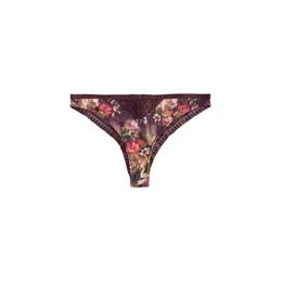 B By Ted Baker Slip Damen Gr&ouml;&szlig;e XXXL aubergine / mischfarben
