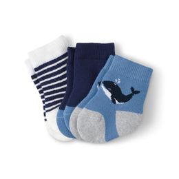 Tchibo - 3 Paar Babysocken - Herren - Gr. 13-15 - dunkelblau/gestreift