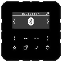 JungSmart Radio DAB+ Bluetooth (schwarz)