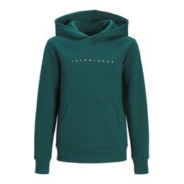 Jack & Jones Jack & Jones Junior Sweatshirt 'JJEStar' Jungen Gr&ouml;&szlig;e 152 tanne / wei&szlig;
