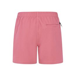 Protest Board Shorts 'PRTWytona' male Pink size L
